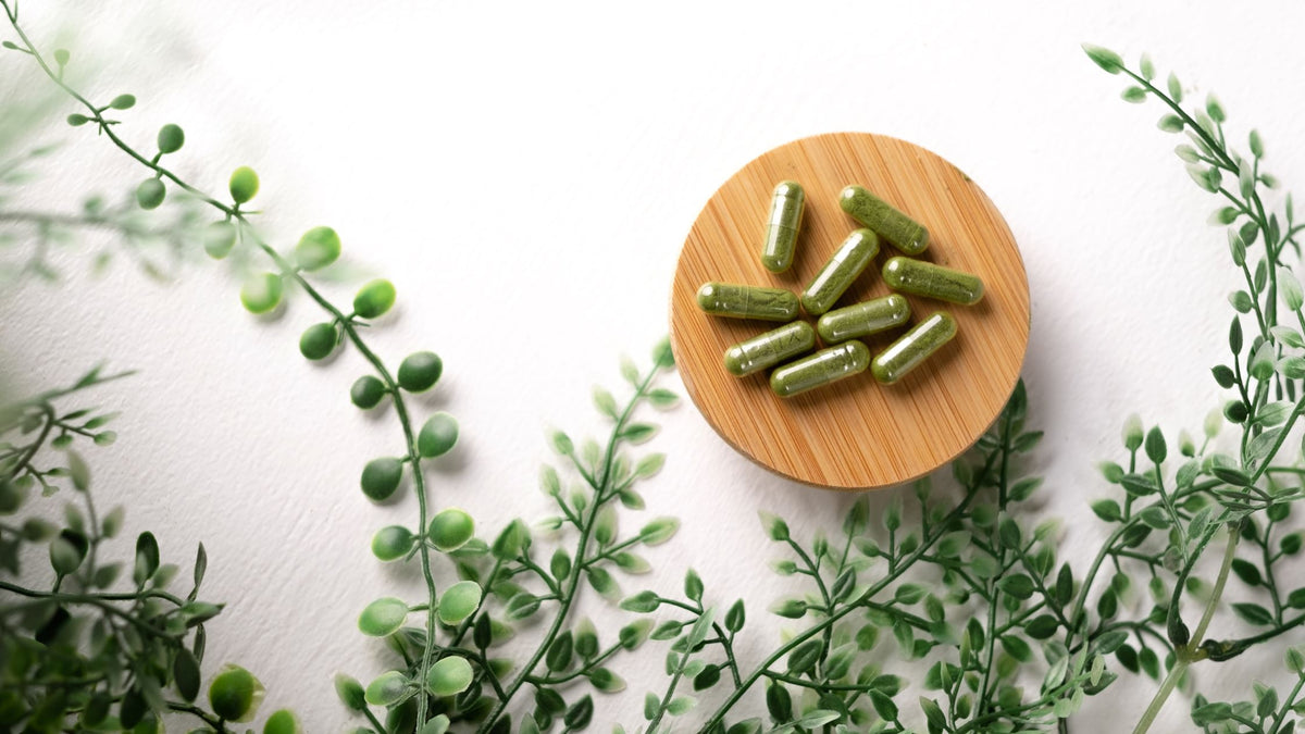BUILDING A RESILIENT IMMUNE SYSTEM: HOW TO SUPPORT YOUR BODY THIS COLD ...