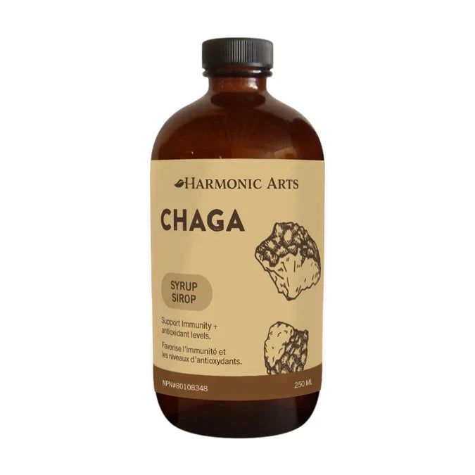 Chaga Syrup - 250ml – LivLong