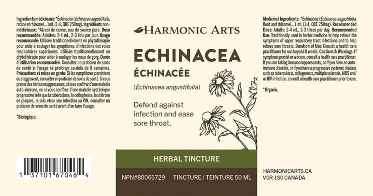Echinacea Angustifolia Root Tincture - 50ml – LivLong